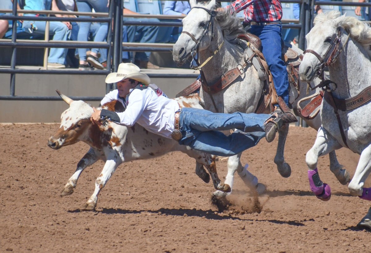Cowboys and cowgirls crowned as state champs at high school rodeo ...